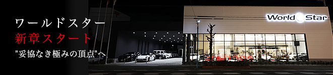 WORLD STAR ENTERPRISE